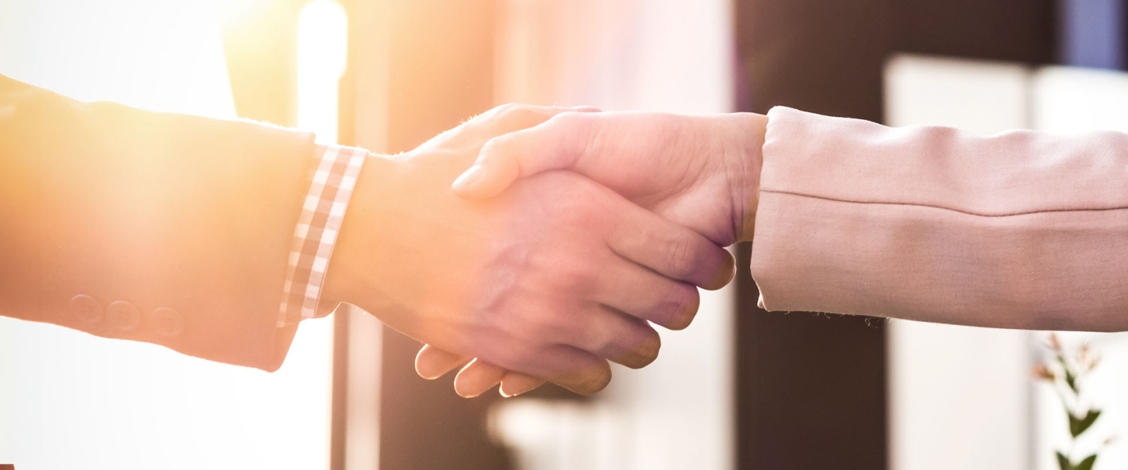 Our Trusted Healthcare Partners in Treating Cancer Fatigue